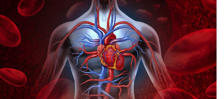 Circulation and Blood Pressure – Nature Medicine Clinic